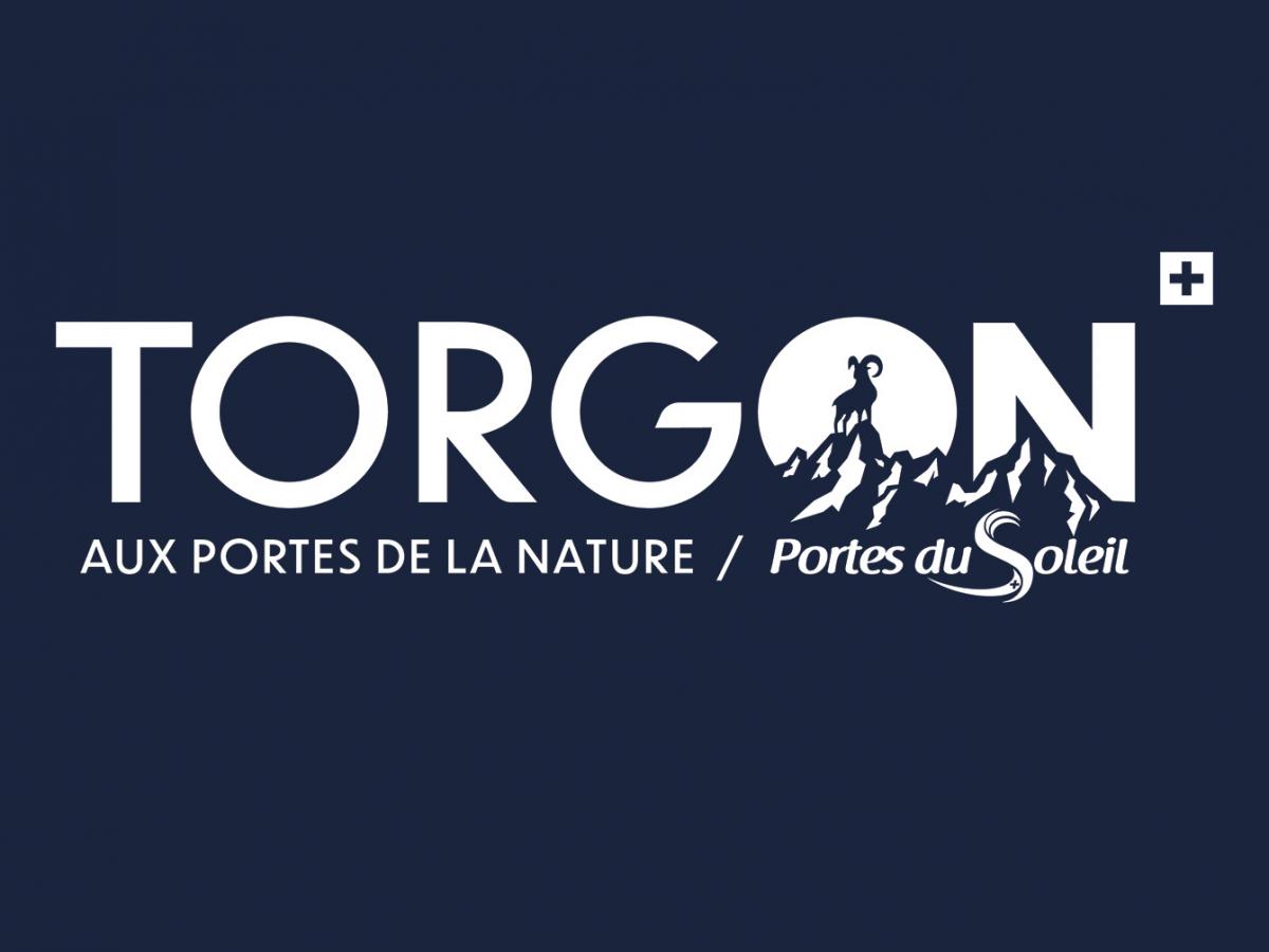 Torgon : Swiss ski resort, small family village | Portes du Soleil
