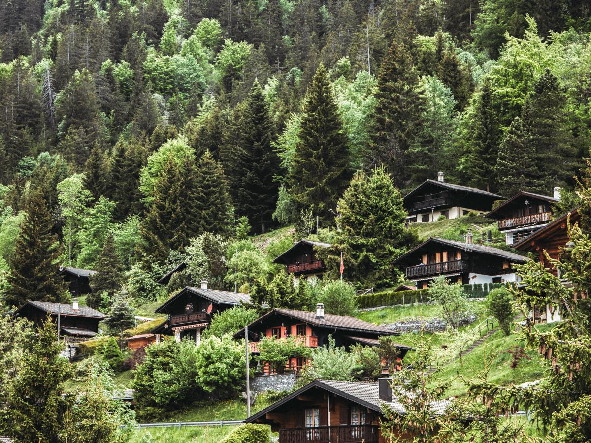 Torgon : Swiss ski resort, small family village | Portes du Soleil