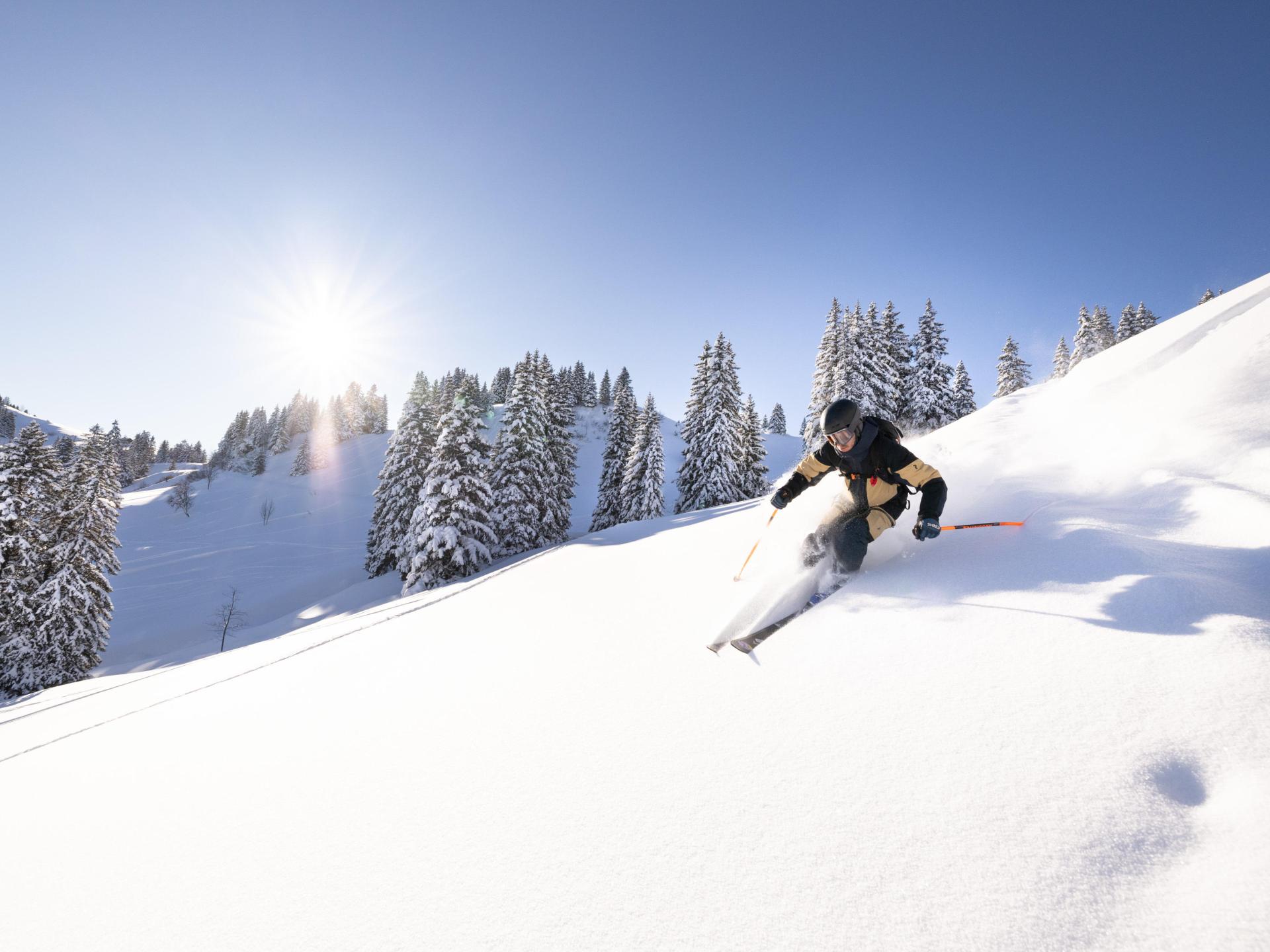 Forfait ski pas cher – Tarifs et bons plans forfaits de ski | Portes du ...